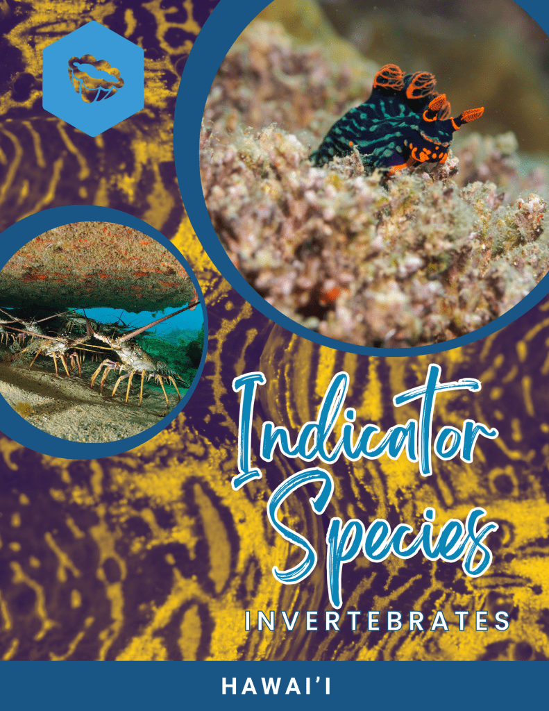 Invertebrate Indicator List - Ocean Alliance Project