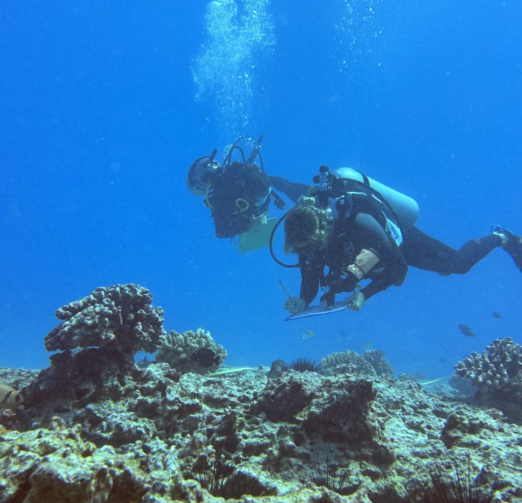Pacific Discovery - Ocean Alliance Project